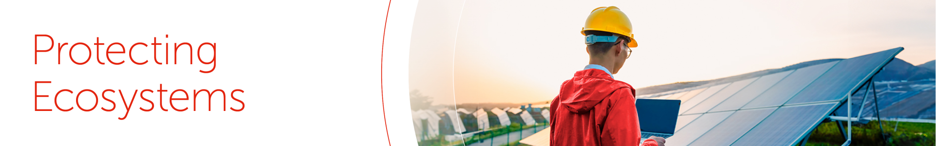 Sustainability Management